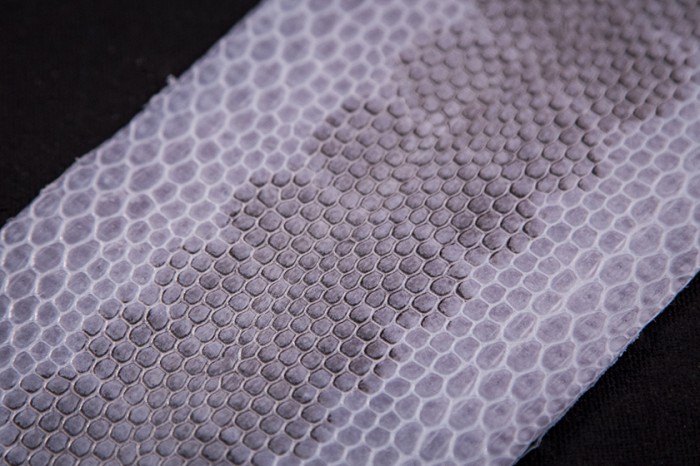 Guide des bracelets de montre en cuir de serpent : python, cobra et ...