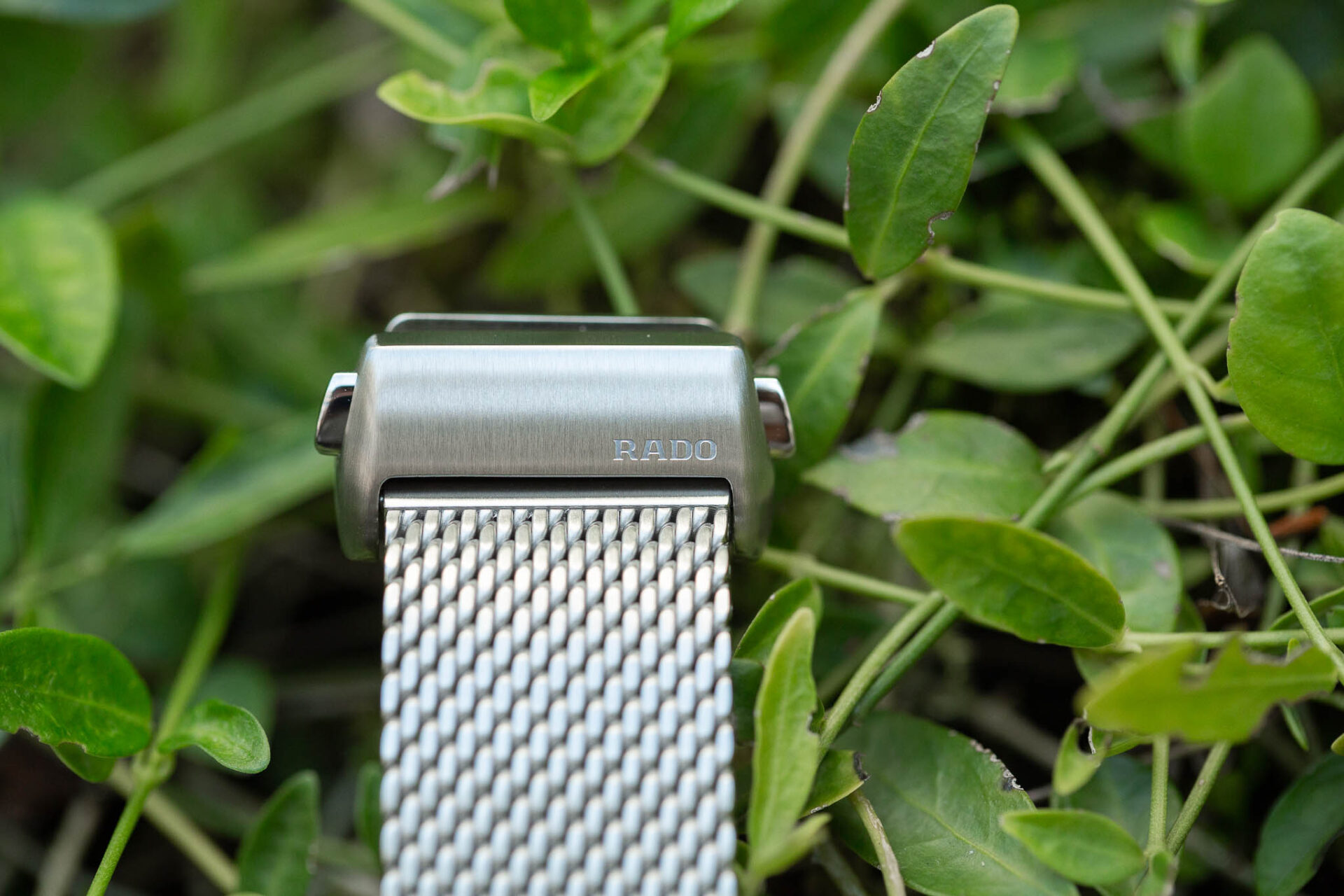 Rado DiaStar Original 60-year anniversary : les nouveautés Rado